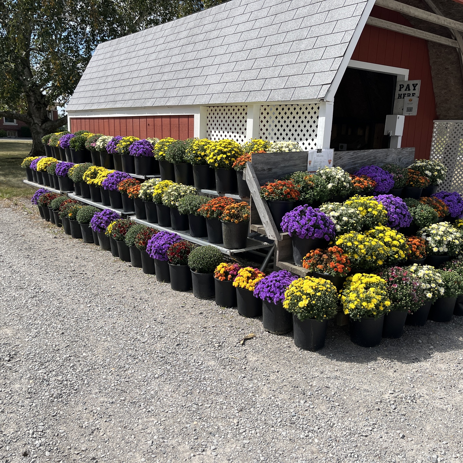 kurtzproduce.com - Farm Fresh Produce & Activities