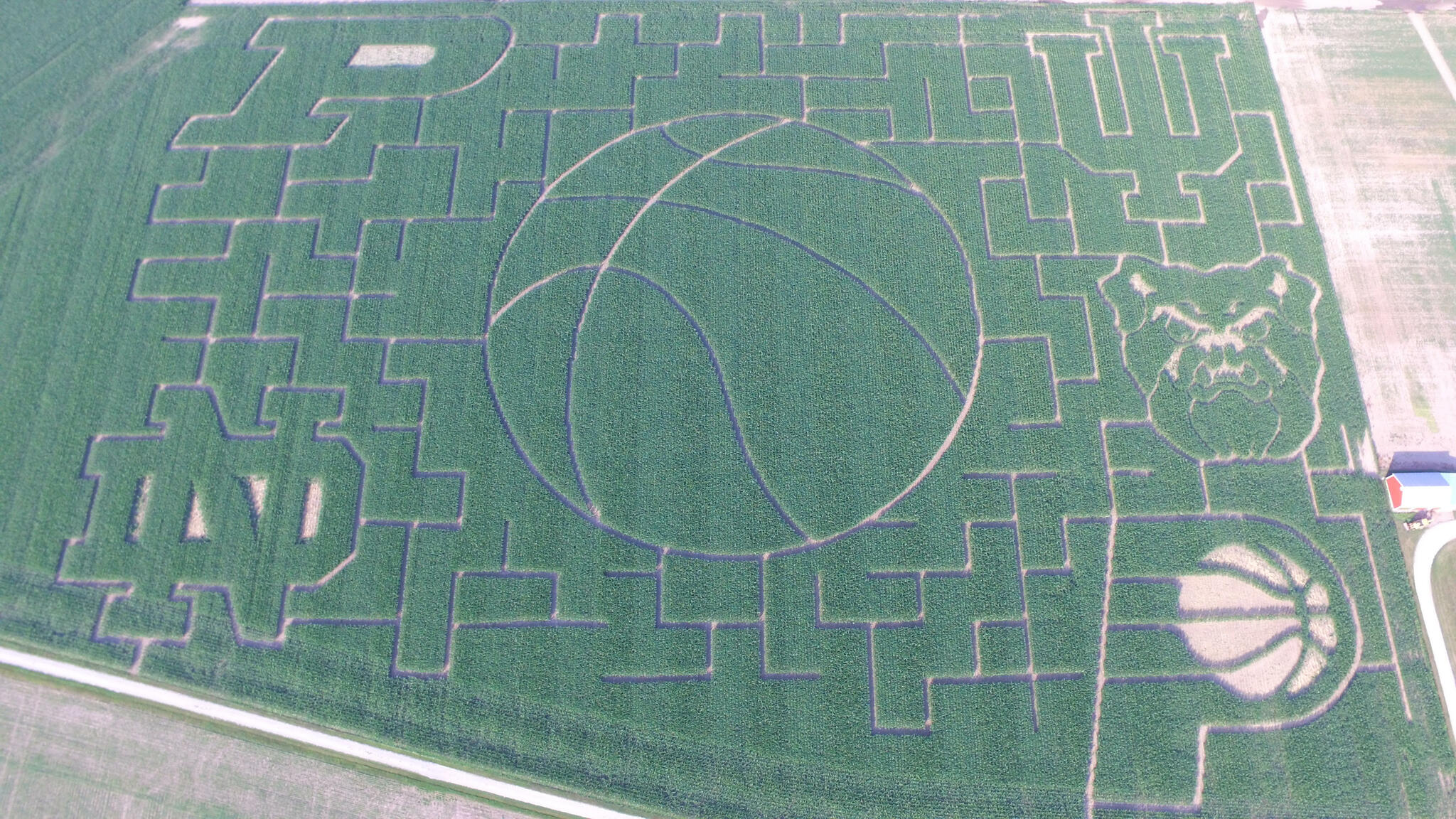 Corn Maze & U-Pick Pumpkin Patch - kurtzproduce.com