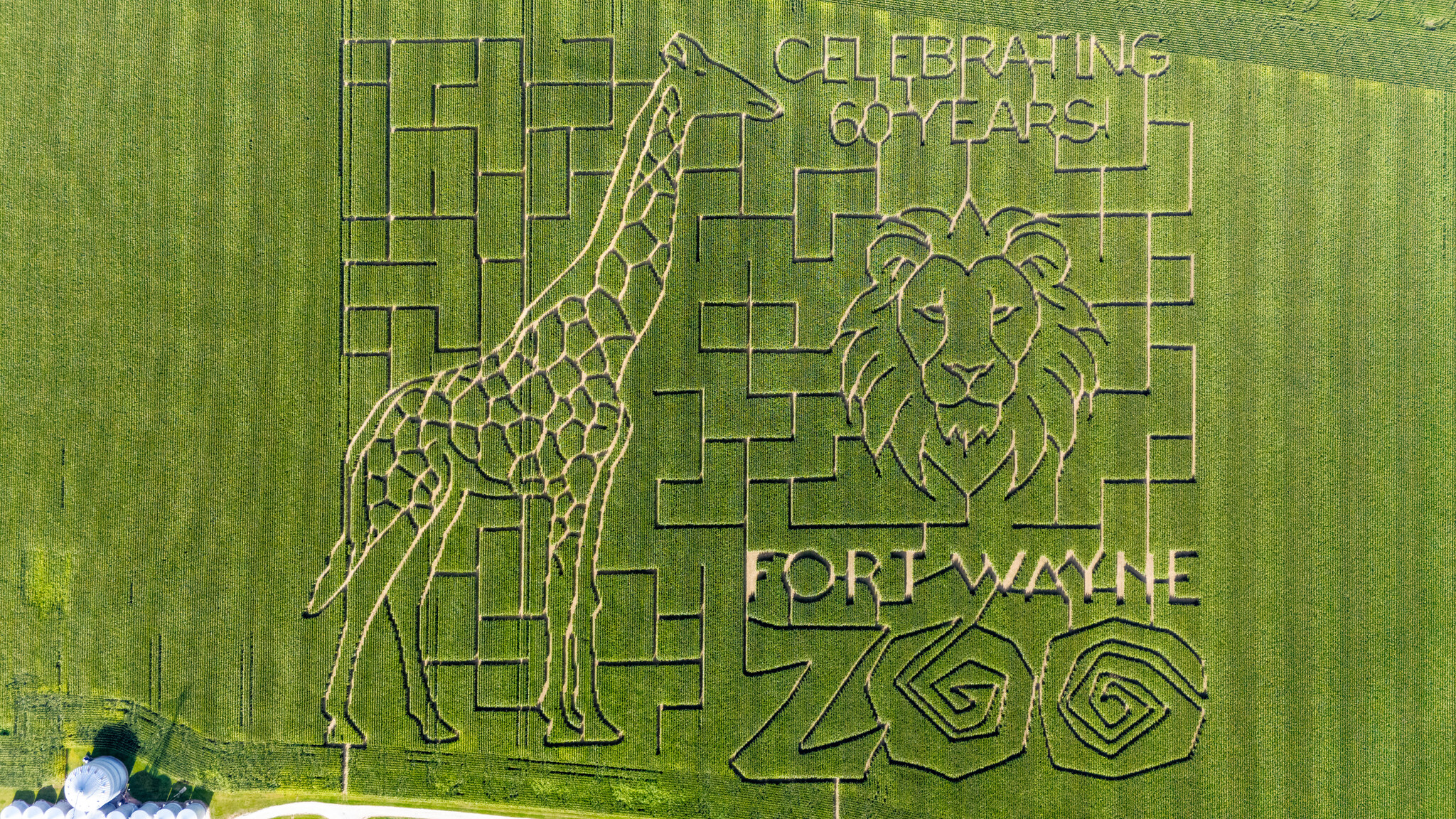 Corn Maze & U-Pick Pumpkin Patch - kurtzproduce.com